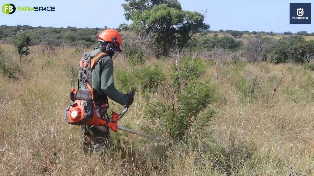 Veld Management and Encroachment - How are Husqvarna staying ahead ...