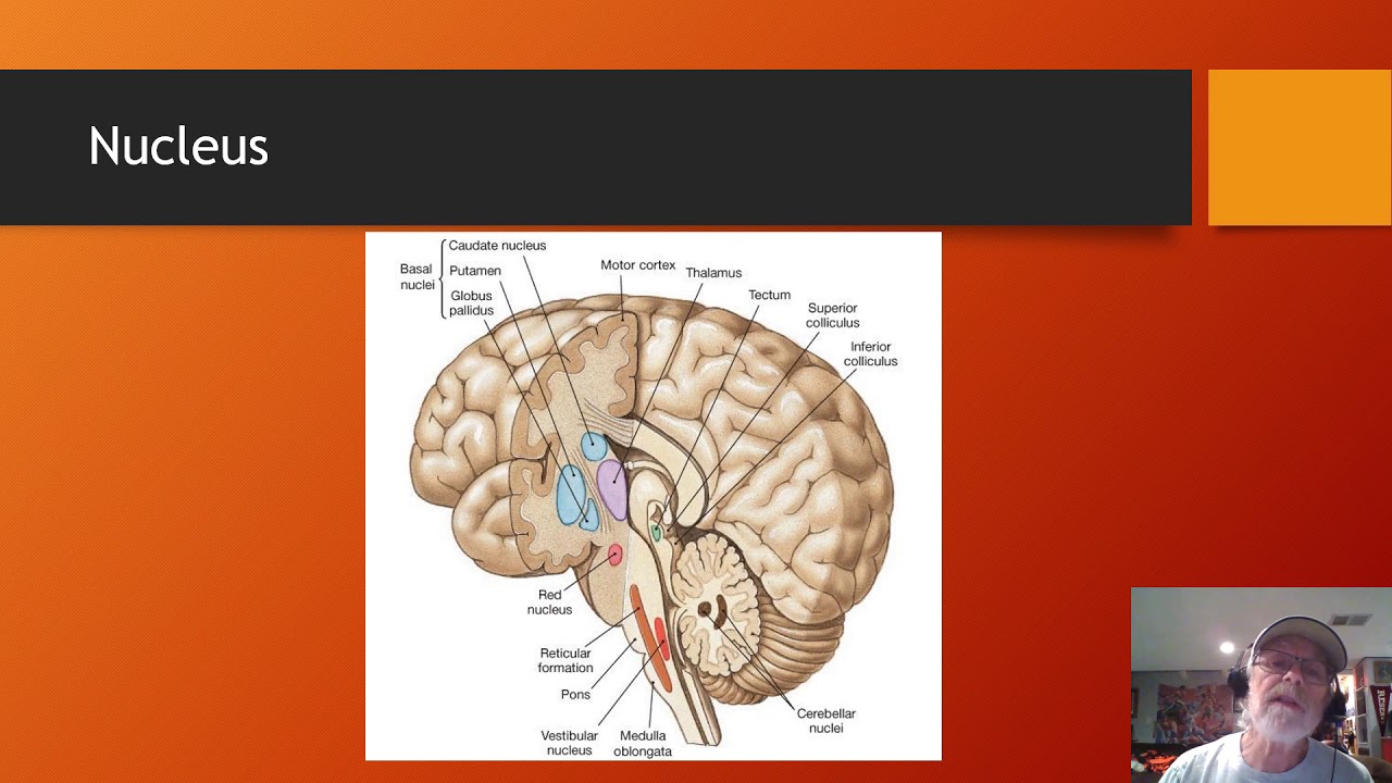 NS function 2 - YouTube