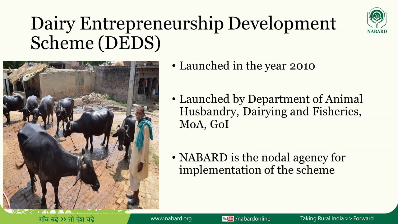 Dairy Entrepreneurship Development Scheme (DEDS) - YouTube