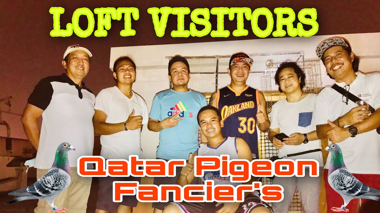 LOFT VISITORS,QATAR PIGEON FANCIERS|#MangBHOYLOFT TV - YouTube