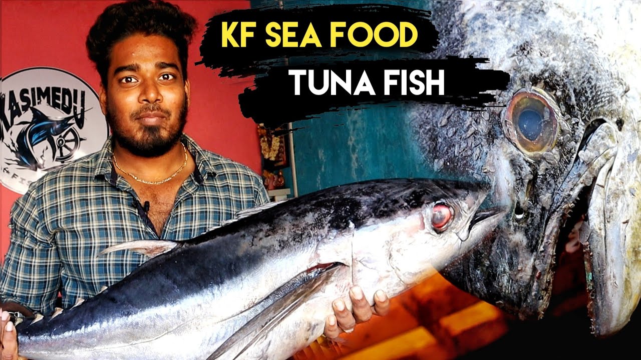 KASIMEDU FISHERMAN SEA FOOD SHOP || Kasimedu Fisherman | Tamil - YouTube