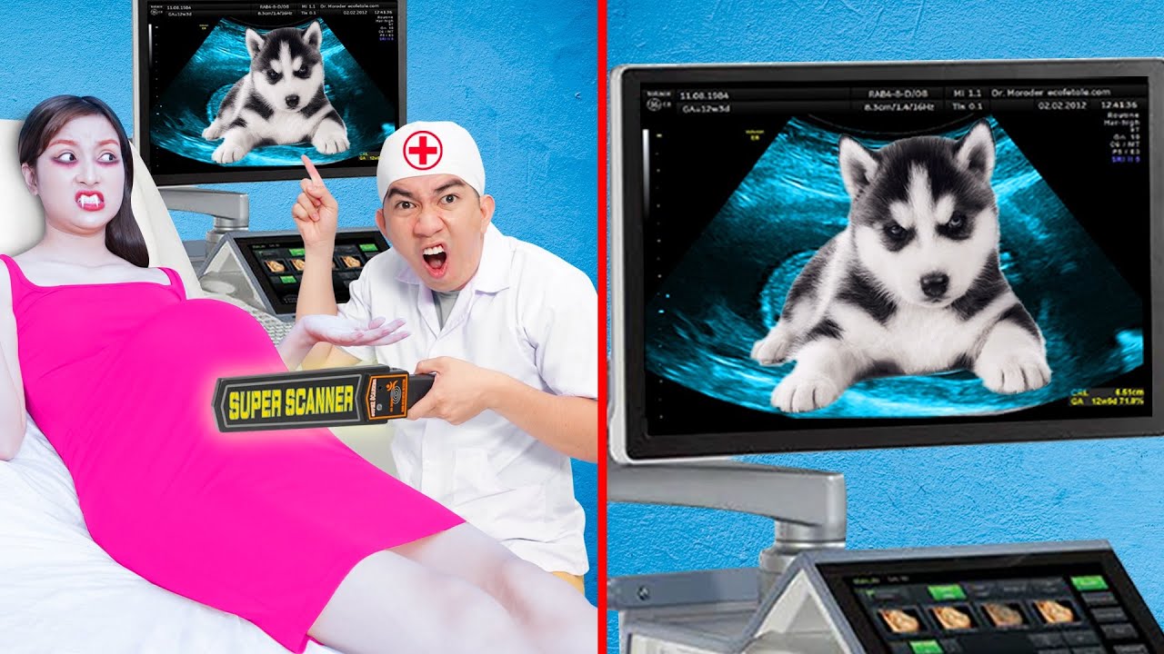 What If Vampire Were Pregnant | Funny Pregnancy Situations - YouTube