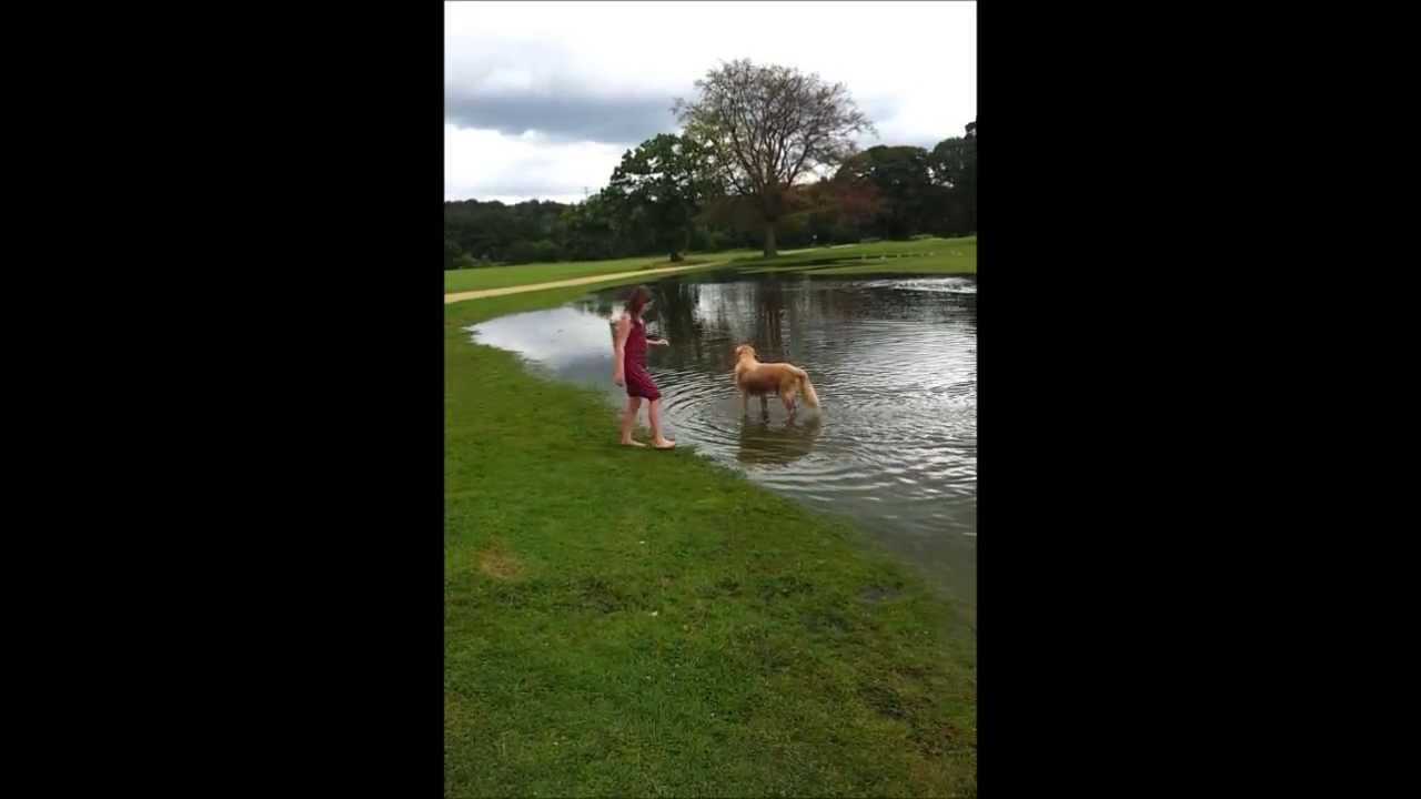 Girl falling into pond (w/ SloMo repeat) - YouTube