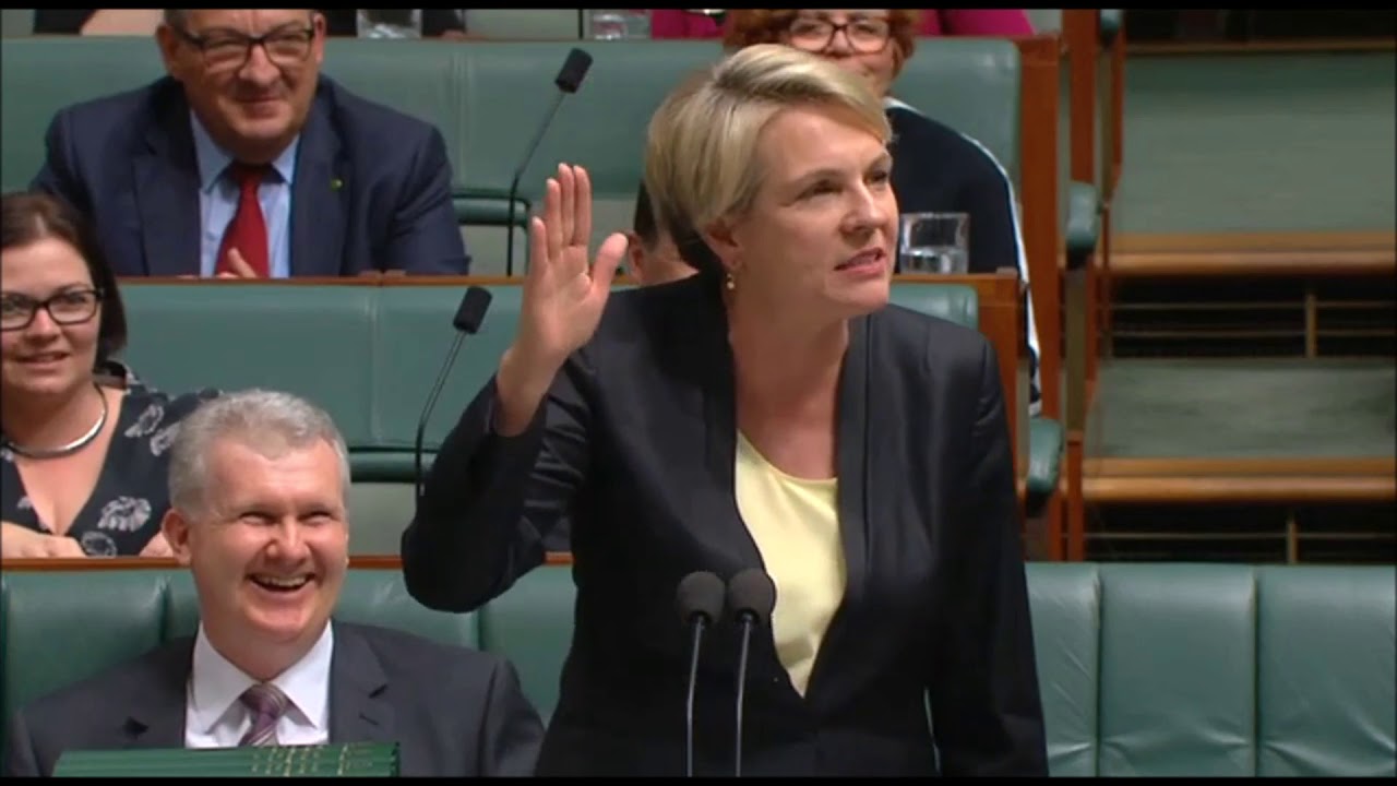 Tanya Plibersek channels Paul Keating (21st Aug 2018) - YouTube