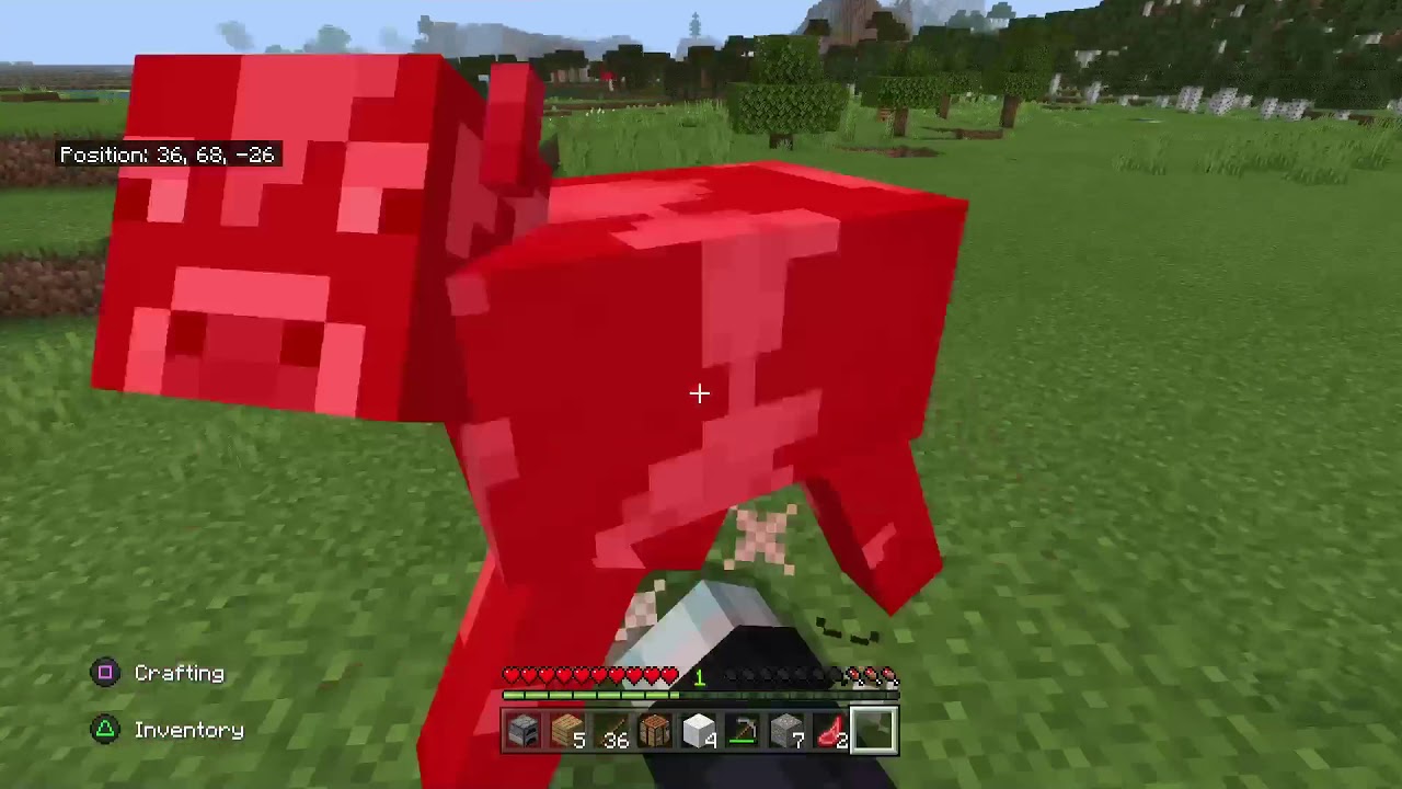 Minecraft lets play (the basic's) - YouTube
