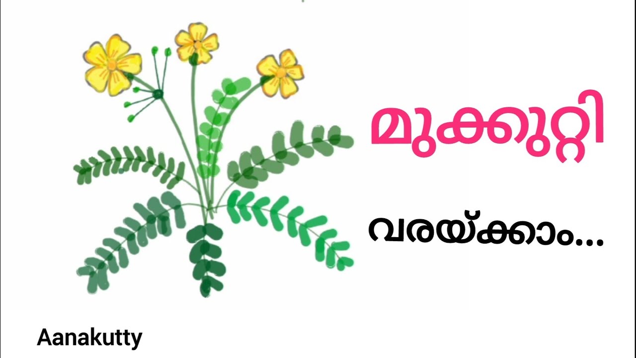പൂക്കളുടെ ചിത്രം വരയ്ക്കാം മുക്കുറ്റി വരയ്ക്കാം mukkuttippoo drawing ...