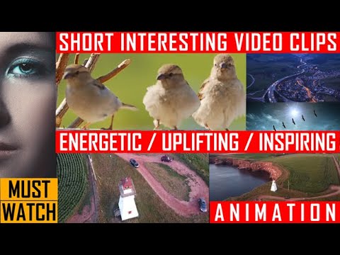 Short Interesting Video Clips | Energetic, Uplifting & Inspiring ...