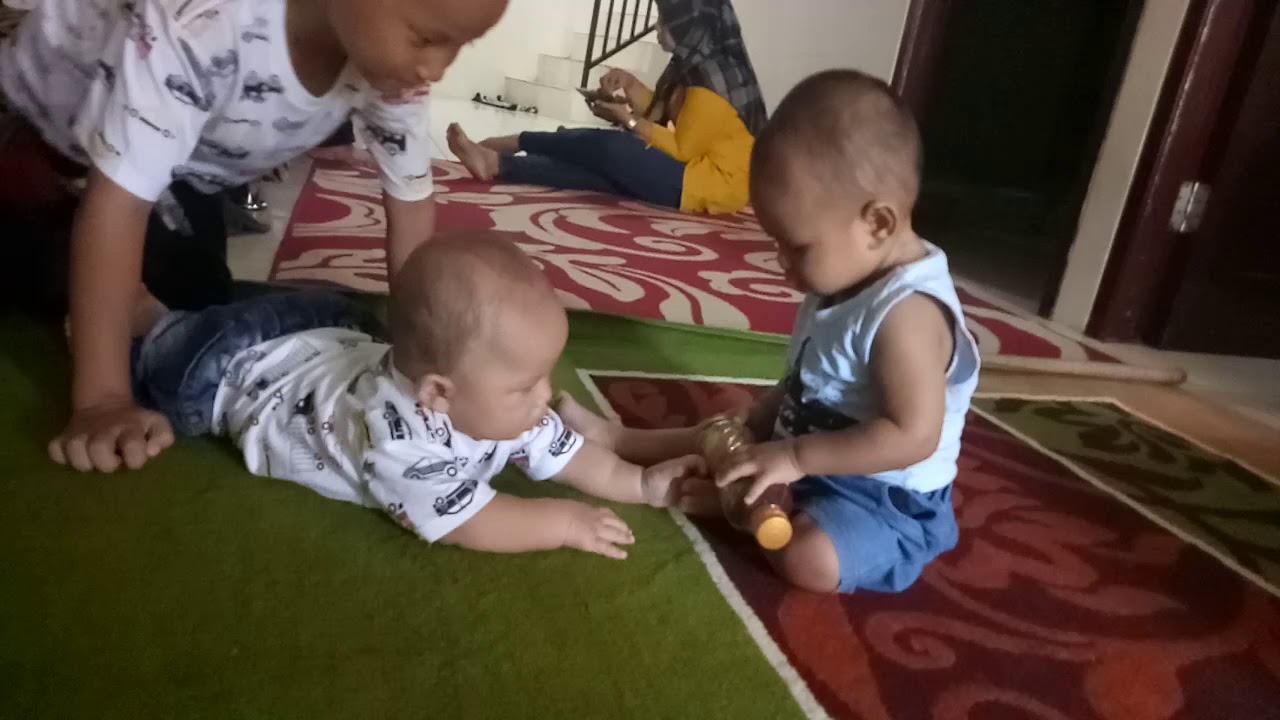 Berebutan botoll - YouTube