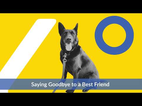 Saying Goodbye to a Best Friend | EP 67