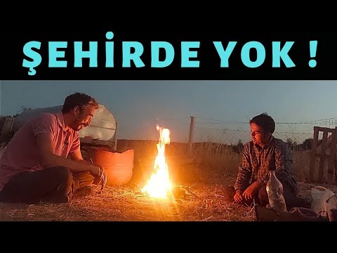 BÖYLE MUHABBETE HASRET KALDIK | ESKİ ARAZİMDE MİSAFİRDİM 