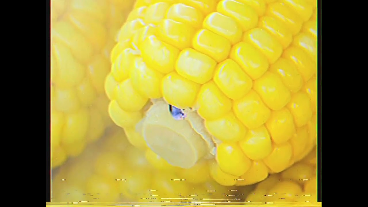 Corn & Puppet - YouTube