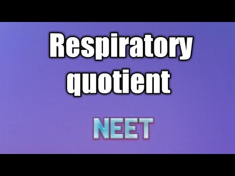 Respiratory quotient - YouTube