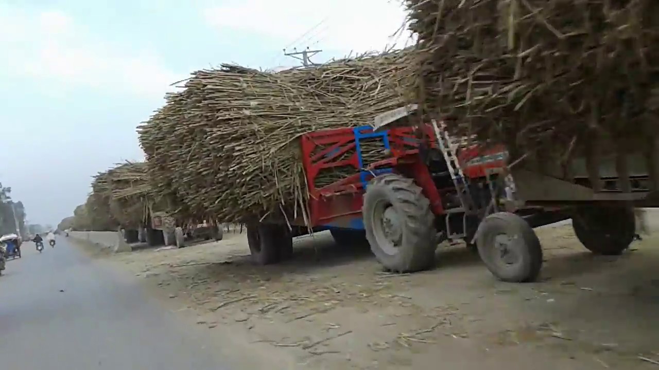 Sugarcane Tractor trolley Going to Sugar mills ,Long Line of Sugarcane ...