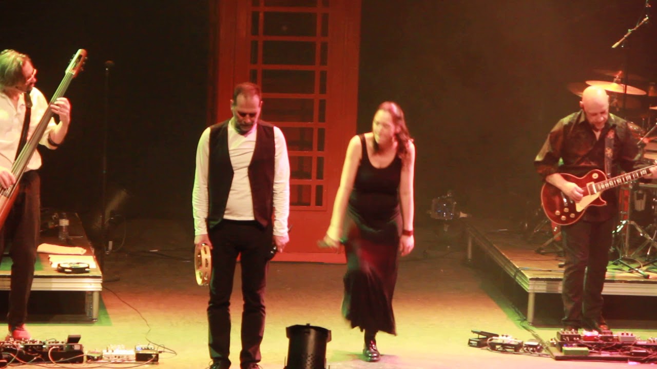 Shaking the Tree - YouTube