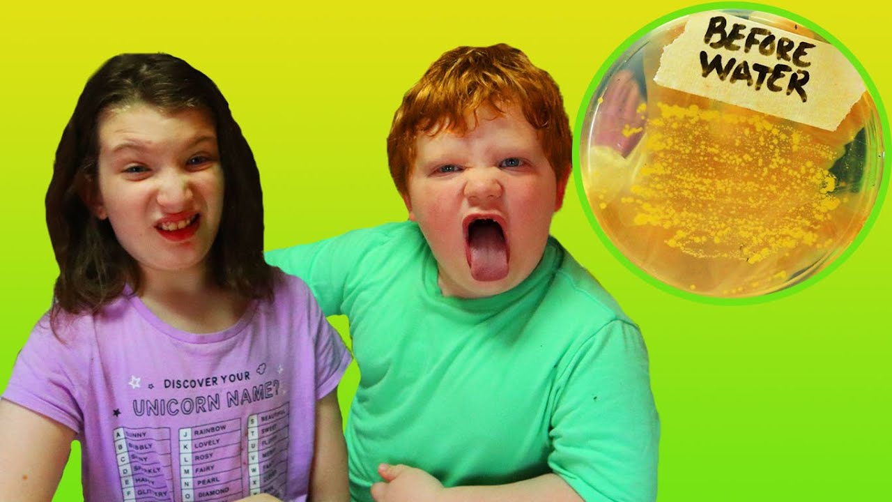 Growing Bacteria At Home / Science Experiments For Kids - YouTube