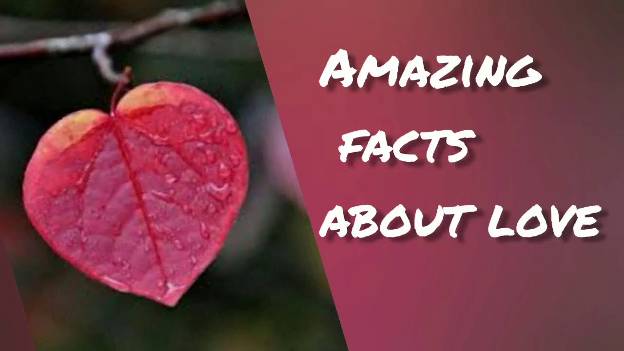 Amazing Facts About Love L Interesting Facts I Psychological Facts amazing-facts-about-love-l-interesting-facts-i-psychological-facts