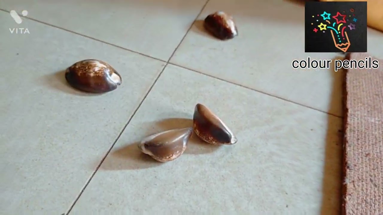 Traditional game.../ CHOWKA BHARA GAME💥.. ( full Intersting and ...