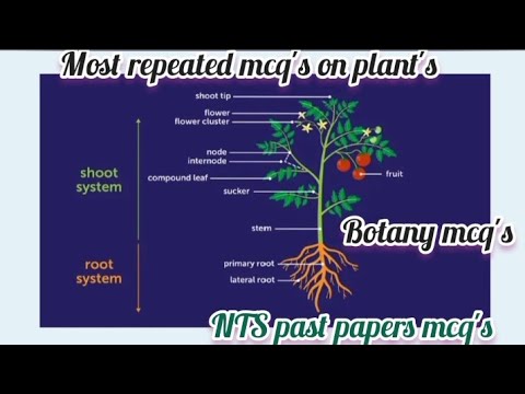 plant and their parts mcq's|| botany mcq's for all competitive exams ...