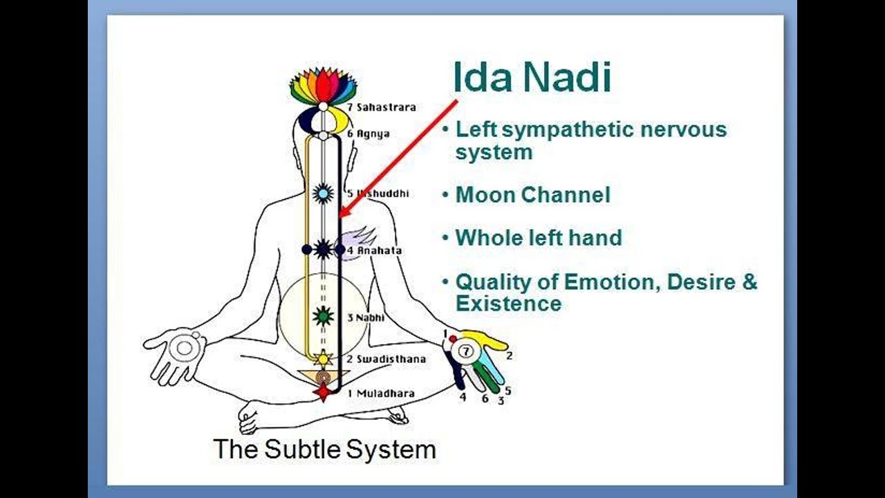 2/12 Meditation on 3 Nadis | SAHAJA YOGA TELUGU - YouTube