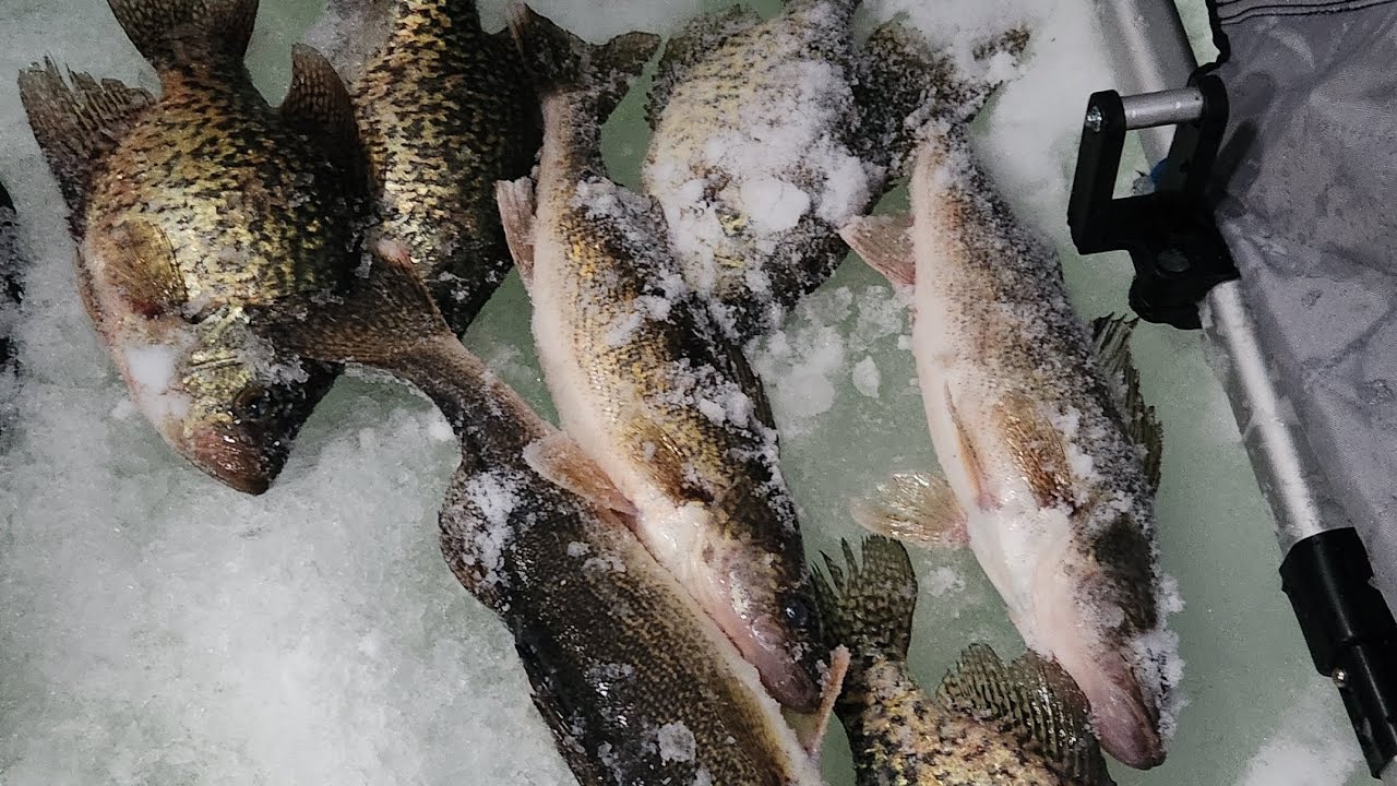 Hi Banks Resort - Fish Lake Reservoir Mixed Bag - YouTube