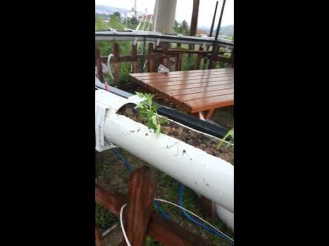 Kamelya düzenlemesini yaptım