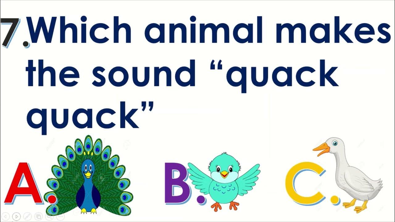 SCIENCE QUIZ BEE SAMPLE QUESTION FOR NURSERY Preschool YouTube science-quiz-bee-sample-question-for-nursery-preschool-youtube