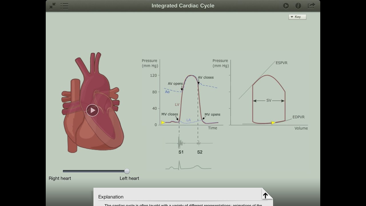 HeartPhys iPad App Trailer - YouTube