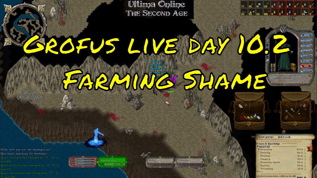 Let's Play Classic Ultima Online T2A Second Age UOSA Day 10.2 - YouTube
