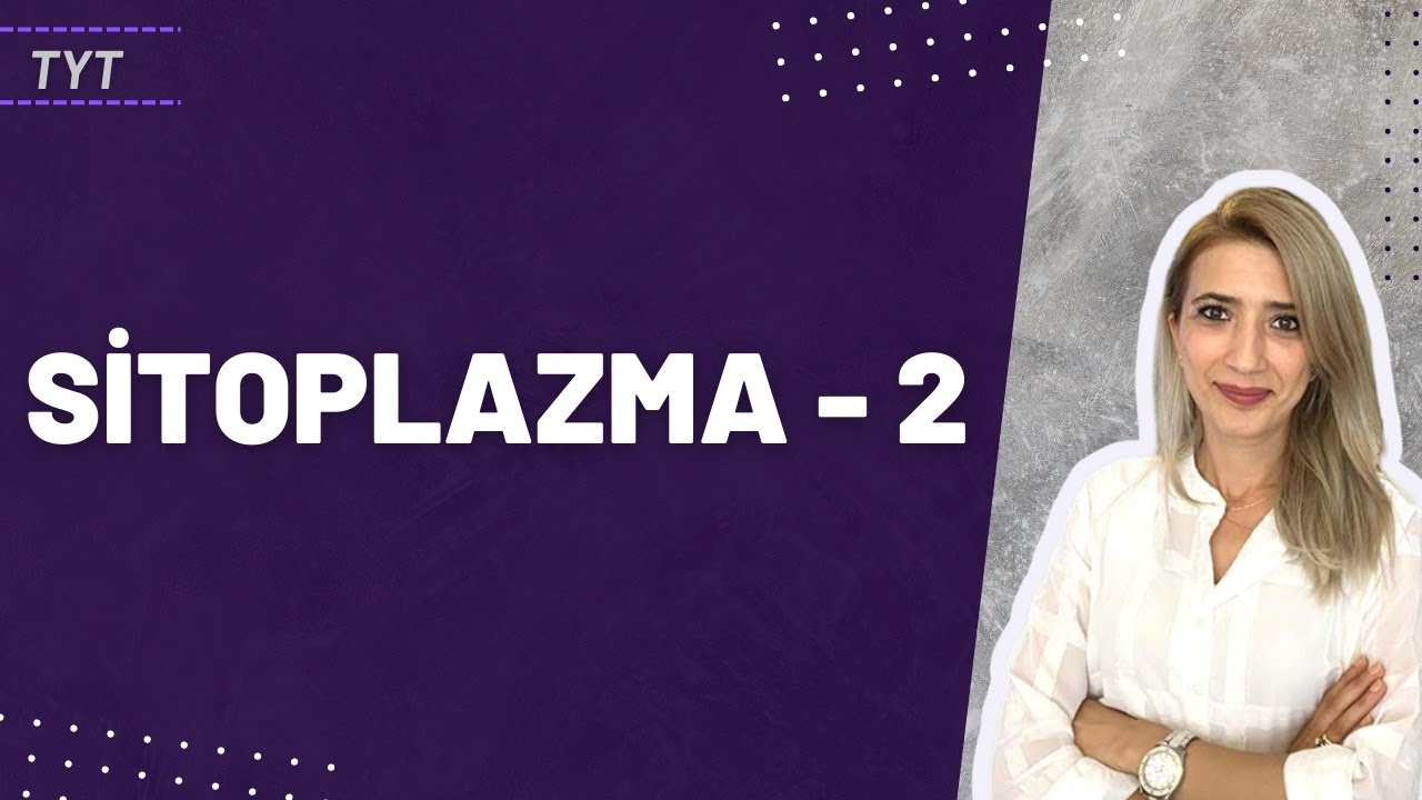 (15.Ders) SİTOPLAZMA 2 | Seda Hoca Biyoloji 🧬 - YouTube