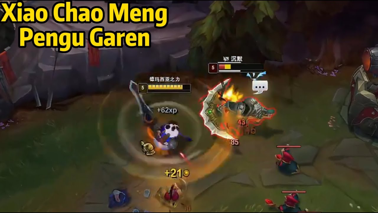 Xiao Chao Meng Pengu Garen: He Likes Pengu Garen so Much! - YouTube