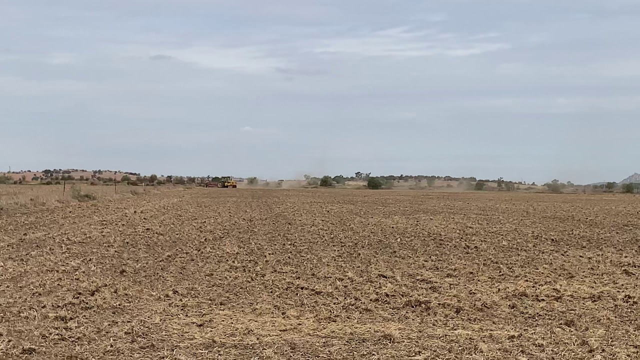 Chamberlain 4280 International 511 sowing lucerne 2019 - YouTube