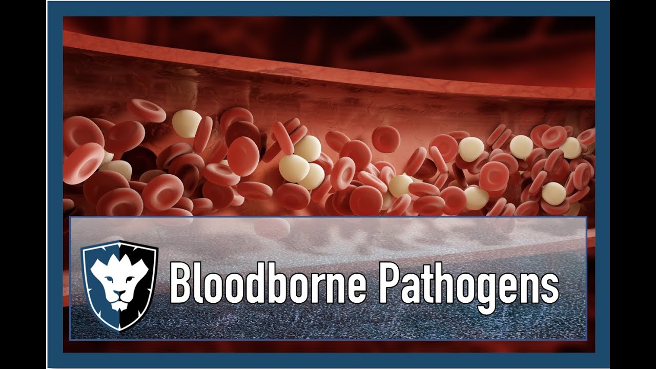 Bloodborne Pathogens | First Aid | Illness Prevention / COVID 19 ...