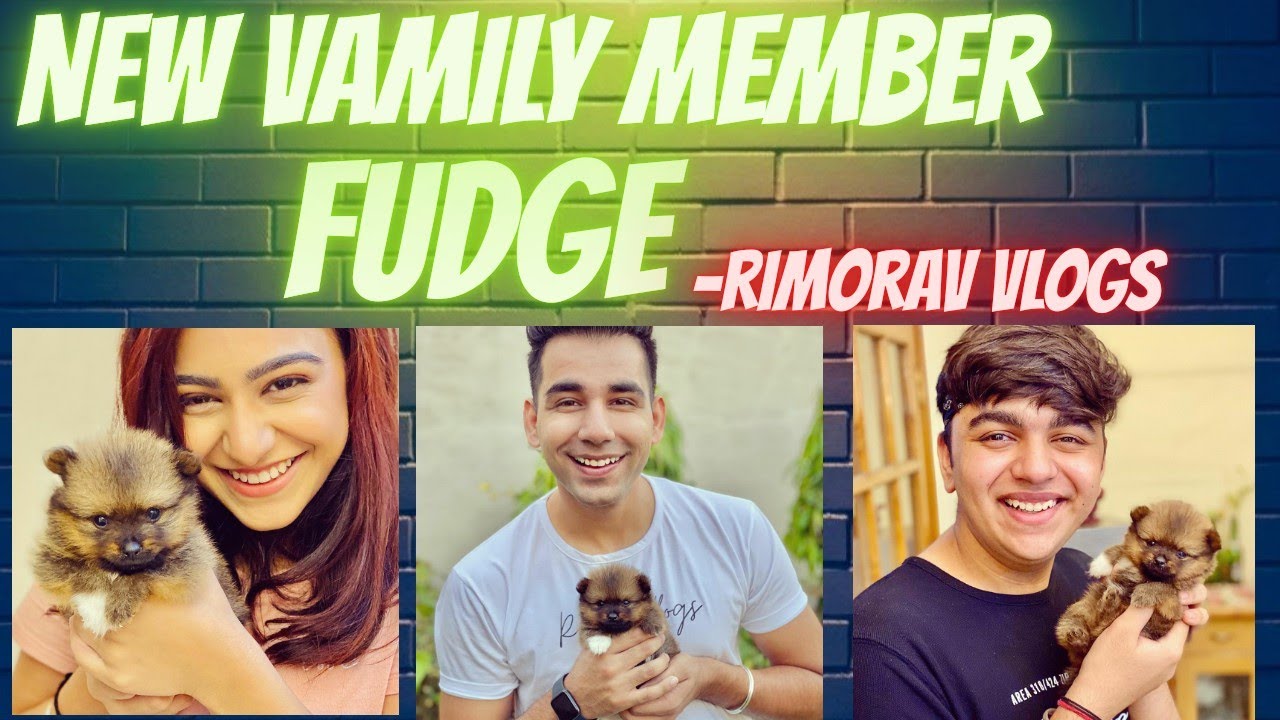 NEW VAMILY MEMBER - FUDGE || RIMORAV VLOGS || FT. RISHI, DIKSHA AND ...