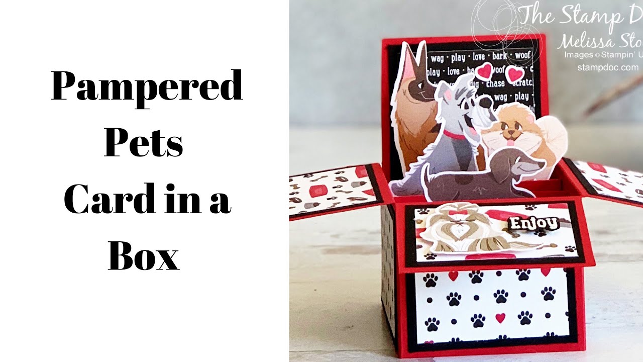 Stampin' UP! Pampered Pets Card in a Box / Playful Pets Box Card / 3D ...