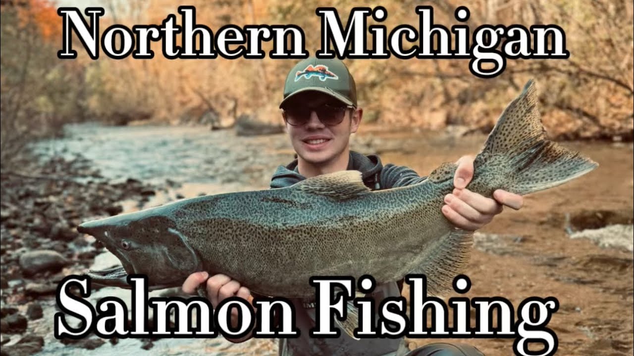 Northern Michigan Salmon Fishing! #fishing - YouTube