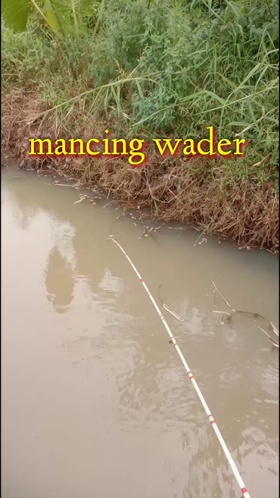 mancing wader #mancingwader - YouTube