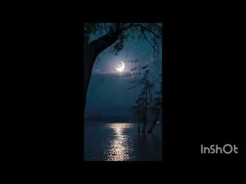 Beautiful Moon||Good Night Statusl|Nature Whatsapp Status Video #shorts #search #views #channelpages