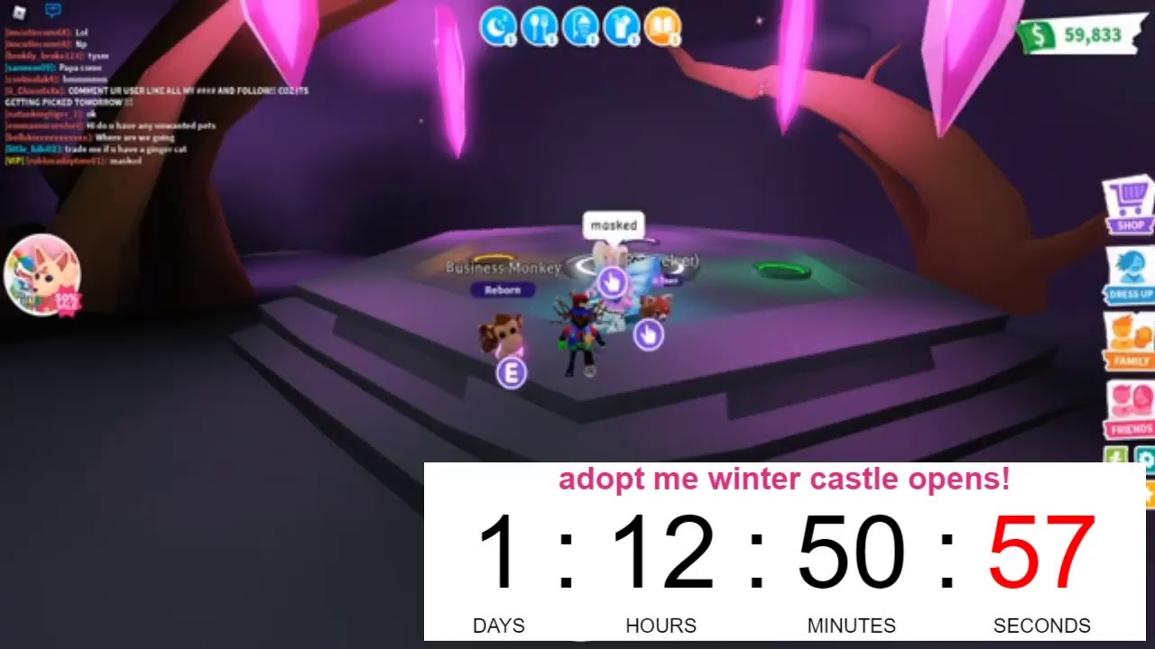 adopt me winter castle opens! - YouTube
