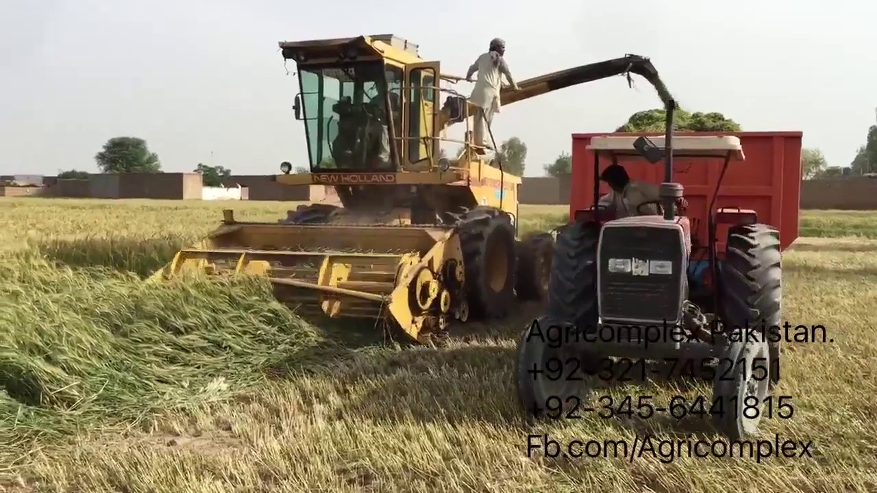 Wheat Chopping for Silage By Agricomplex - YouTube