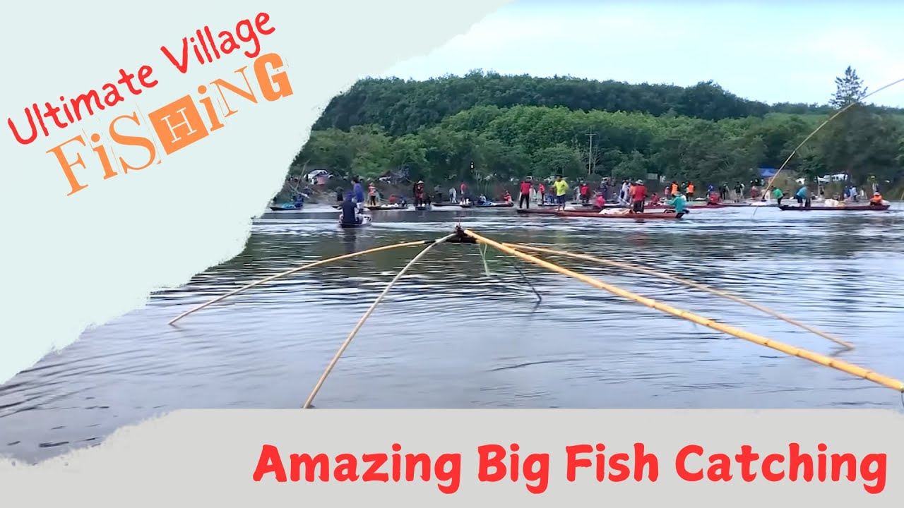Amazing Big Fish Catching | Ultimate Village Fishing - YouTube