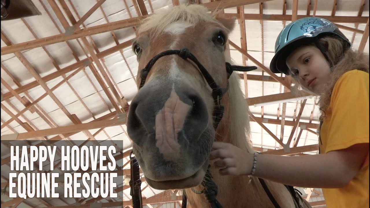 Happy Hooves Equine Rescue - YouTube