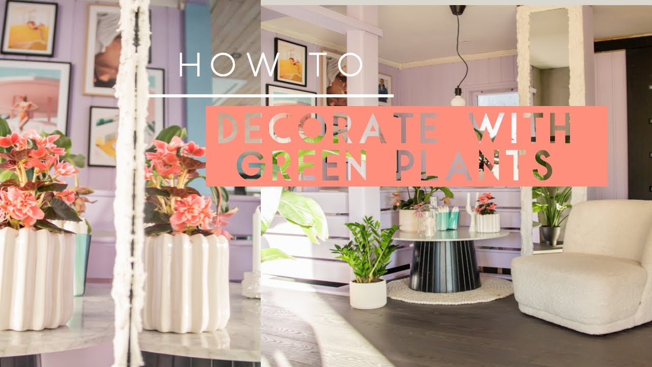 How to decorate with green plants at home. - YouTube