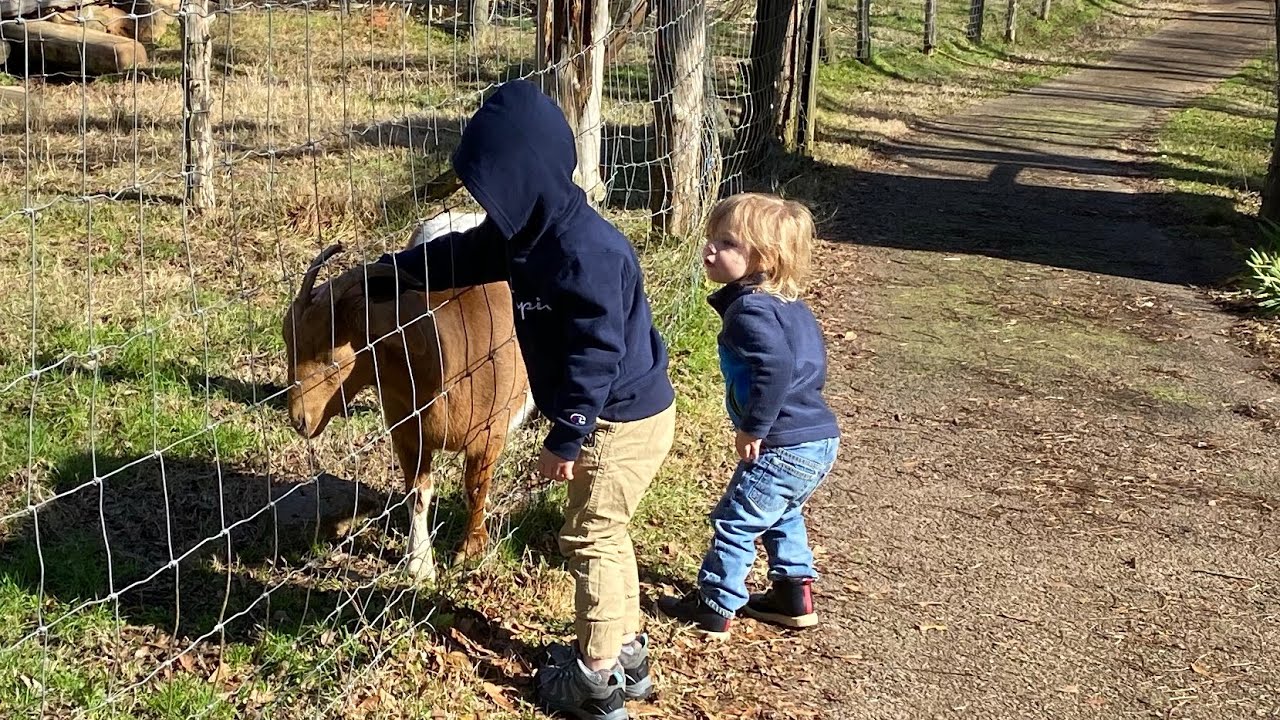 Chasing Chickens like Rocky, What’s an Outhouse? State Historical site ...