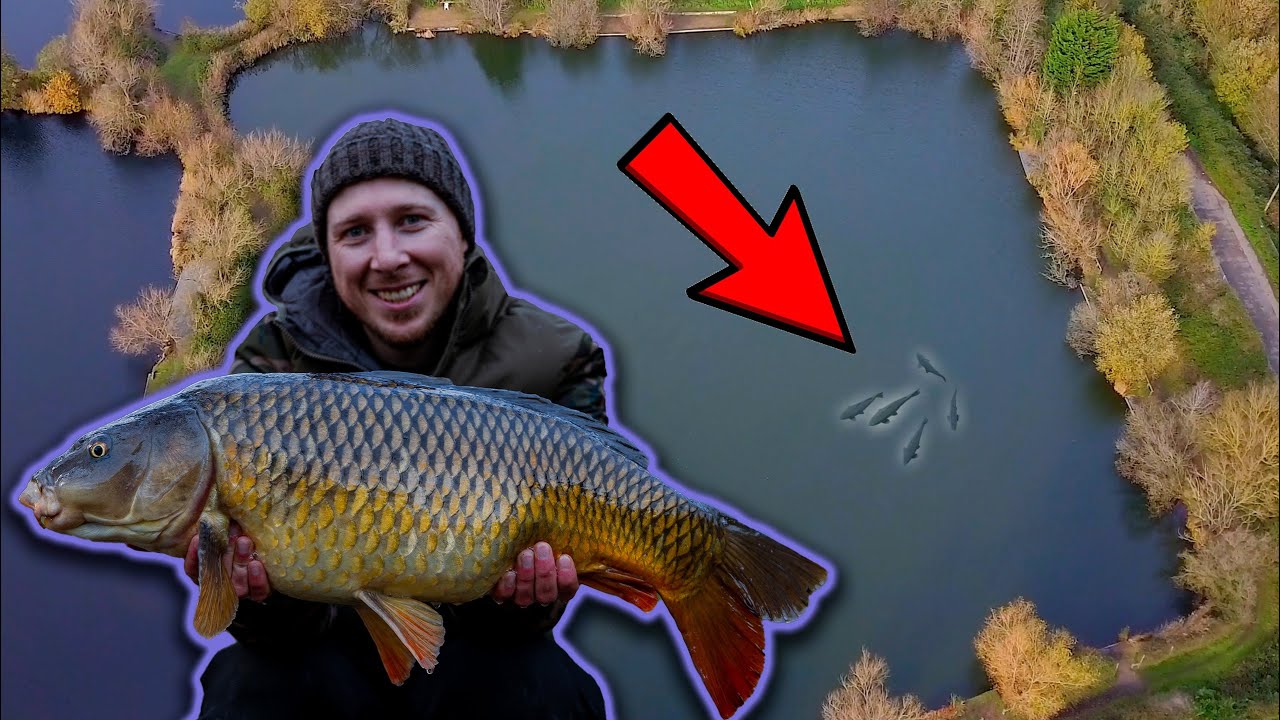 ⛄️ ️🎣Catching carp in the cold | Winter Carp Fishing - YouTube