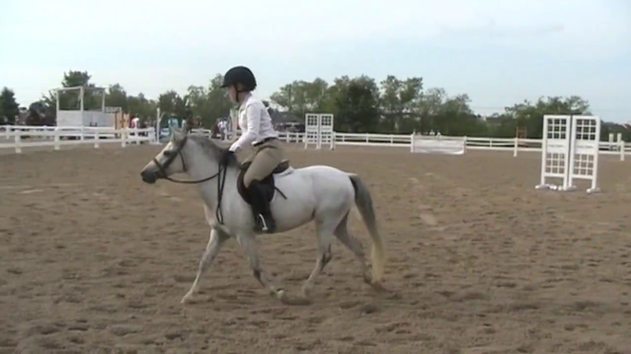 Small Pony Hunter Lily - YouTube