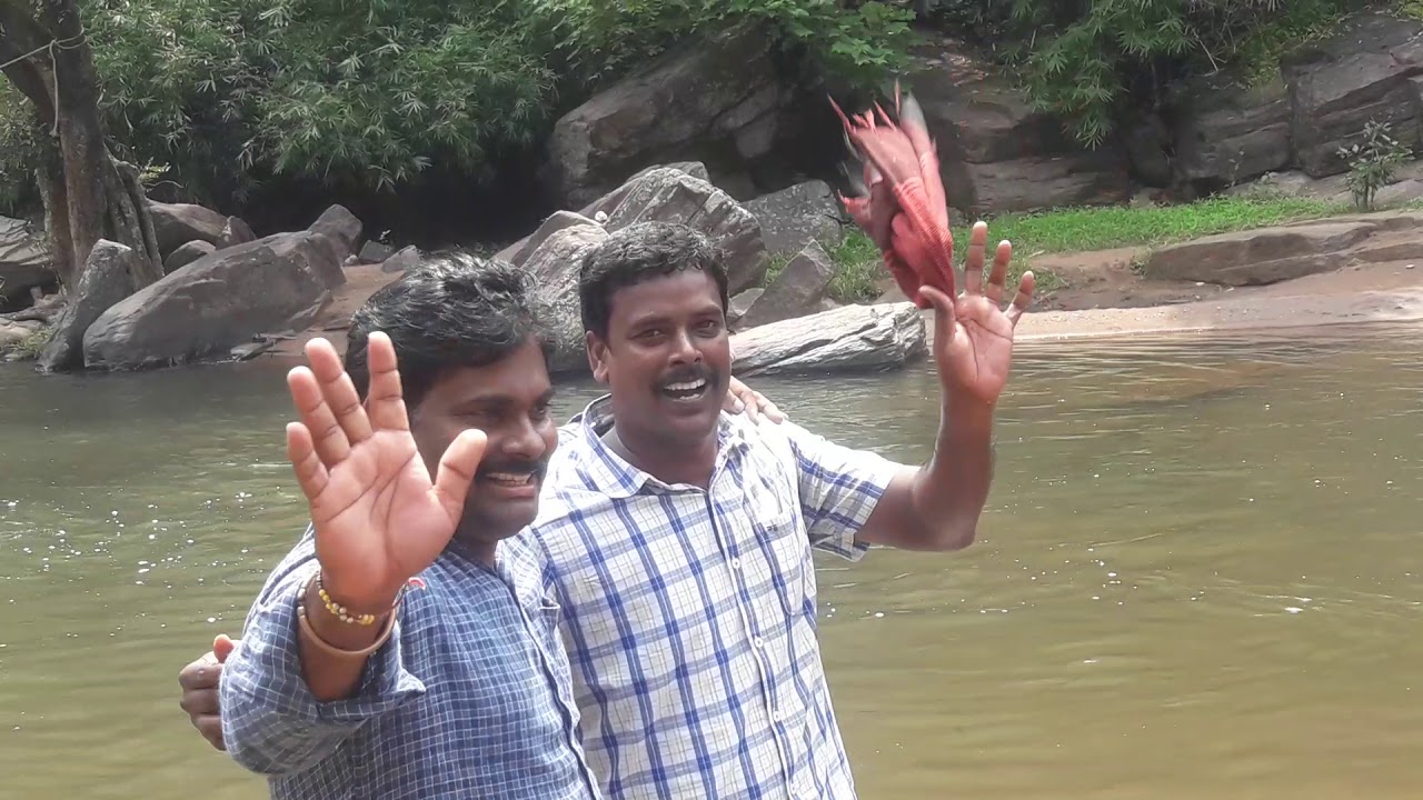 Chintapalli taigress waterfalls - YouTube