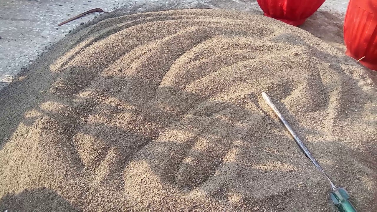 Ab ghar par hi balu mitti bnaay 😉😉 - YouTube