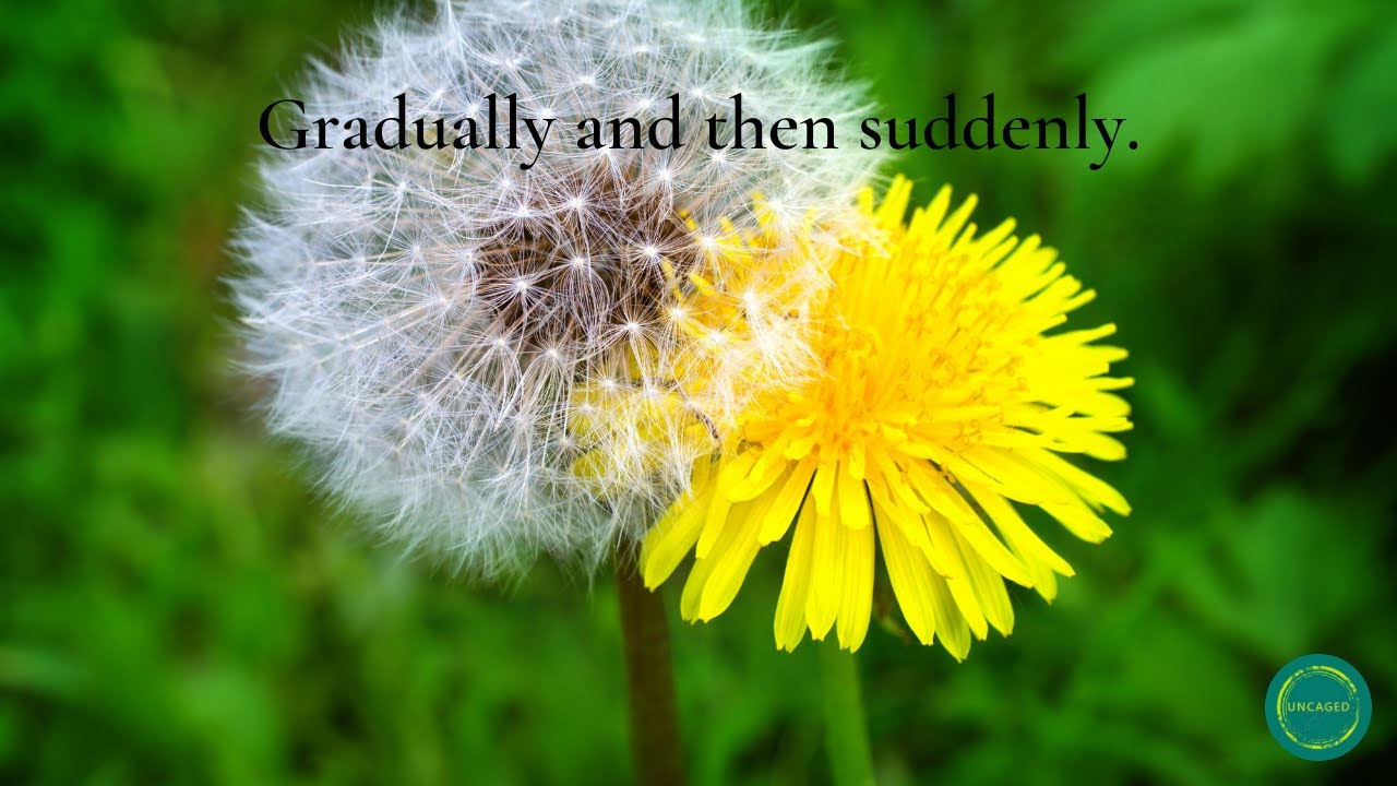 Gradually and then suddenly. - YouTube