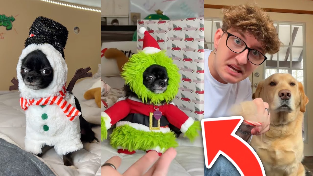 JOSH PUDDIN AND DOZER CHRISTMAS COMPILATION!! - YouTube