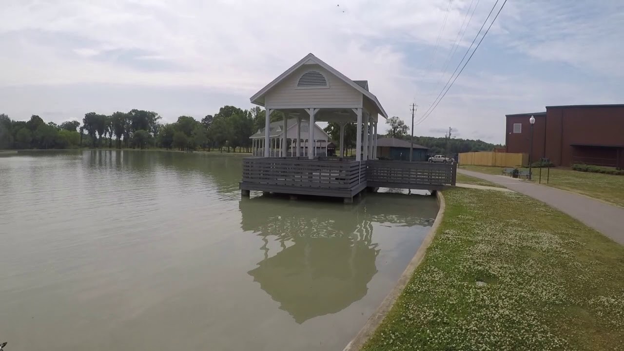 Big carp fishing oxford Alabama - YouTube